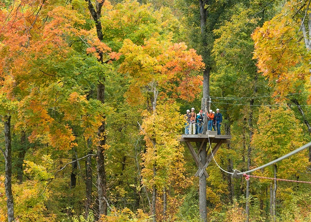 Camper Loses Her Life in Tragic Zipline Accident