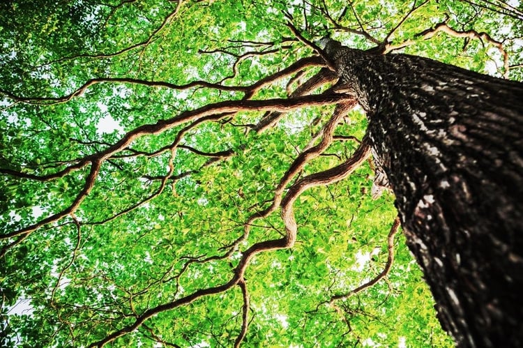 How to Grow Your Business Consulting Firm