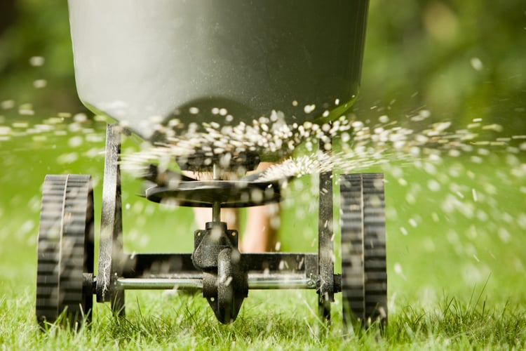 Common chemicals to avoid in your lawn care routine